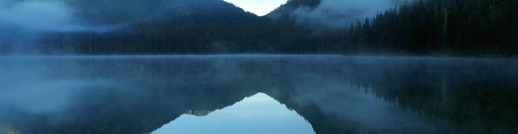 The Spectrum Of Despair and The Art Of Perception – Openhearted Rebellion