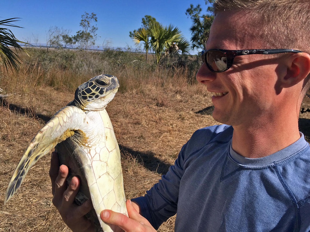 Sea Turtles Stunned by Cold Weather Rescued in Florida – Openhearted ...