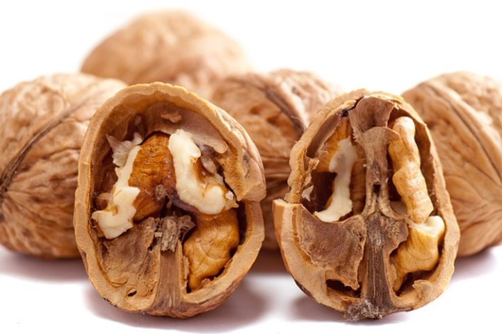Why a Walnut Resembles the Brain It Nourishes – Openhearted Rebellion