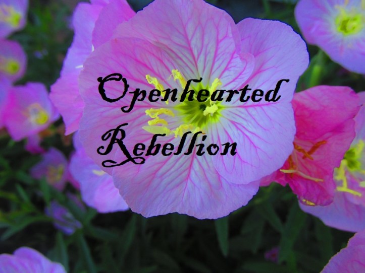 The Joy (and Burden) of Being Creative – Openhearted Rebellion