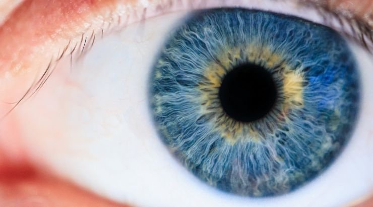Staring Into Somebody’s Eyes for 10 Minutes Can Alter Your State of ...